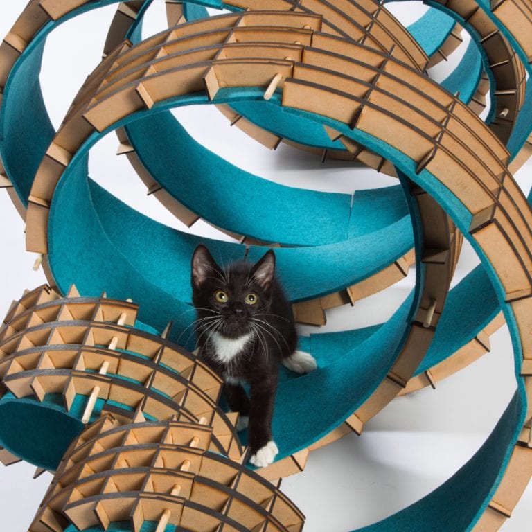 Architects For Animals - 360 MAGAZINE - GREEN | DESIGN | POP | NEWS