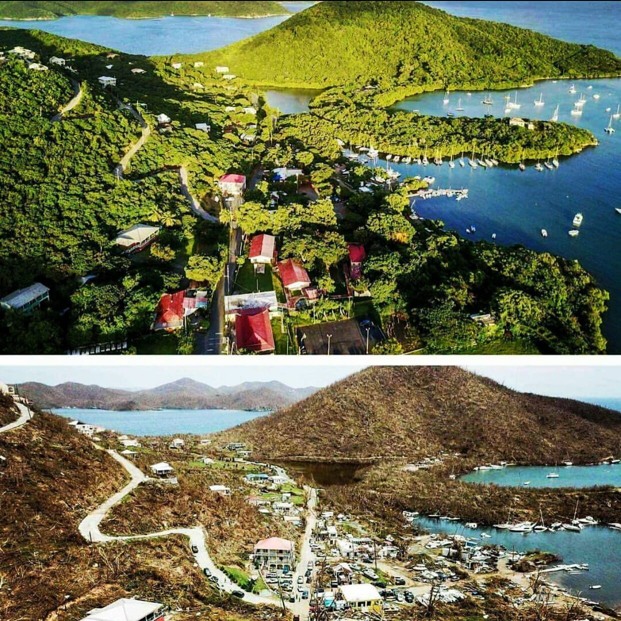 Puerto Rico Relief Funds - 360 MAGAZINE - GREEN | DESIGN | POP | NEWS