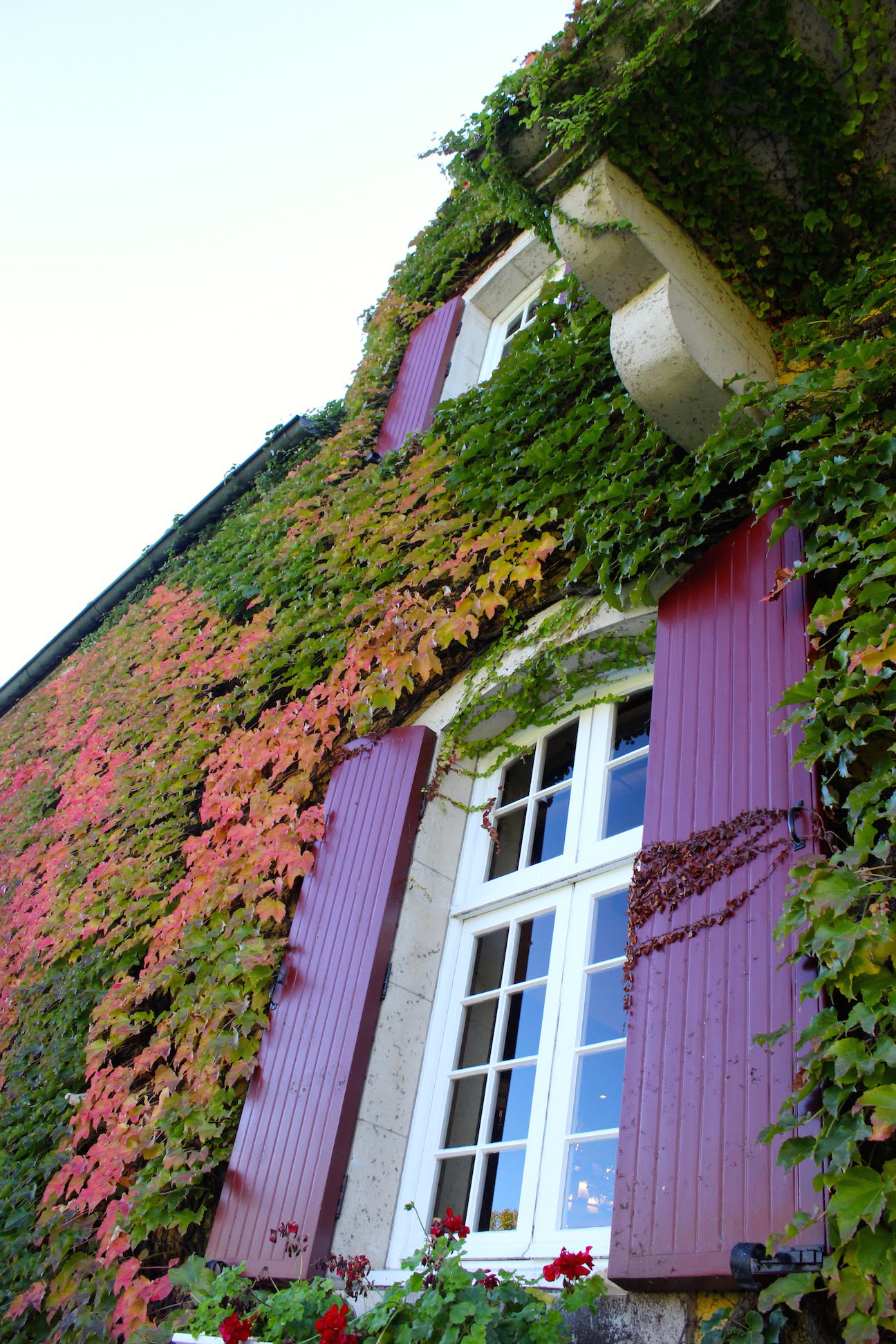 Jordan Winery and Vineyards—a taste of France in California’s Alexander ...