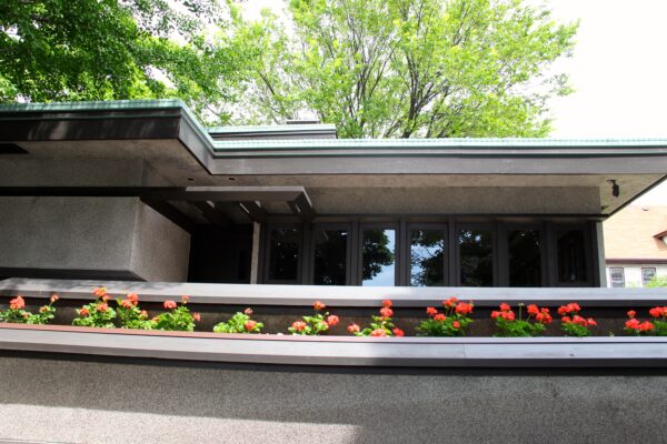Discovering magical Madison - 360 MAGAZINE - GREEN | DESIGN | POP | NEWS