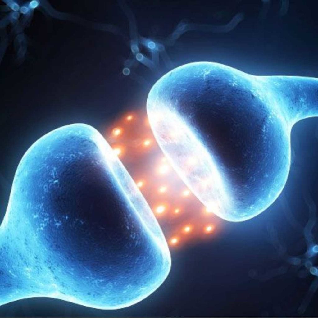 5 Hormone Disruptors - 360 MAGAZINE - GREEN | DESIGN | POP | NEWS