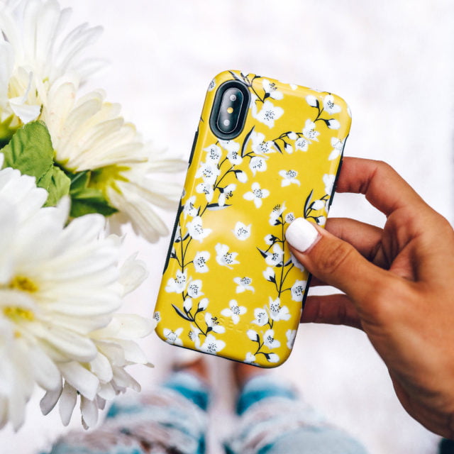 Casely Pioneers Monthly Subscription Box for IPhone Cases - 360 ...