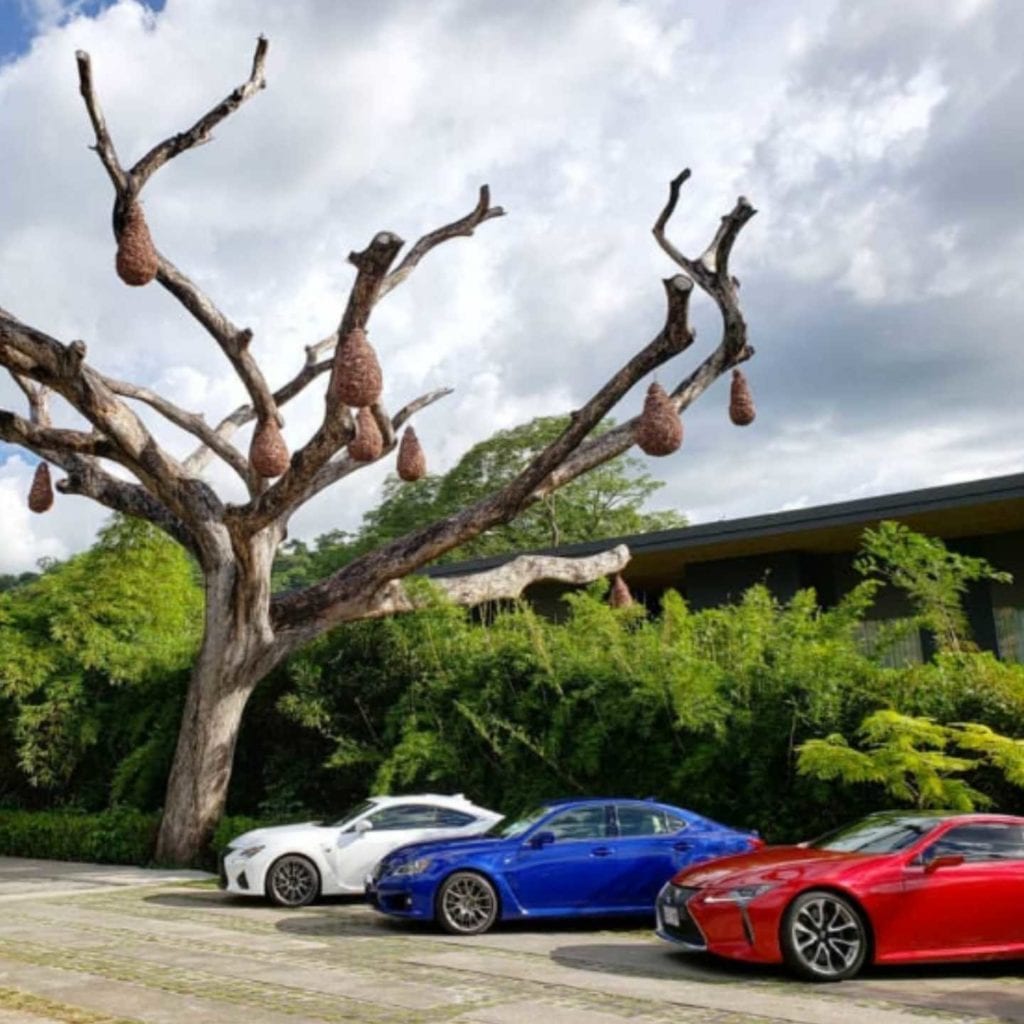 Lexus Milestones - 360 MAGAZINE - GREEN | DESIGN | POP | NEWS