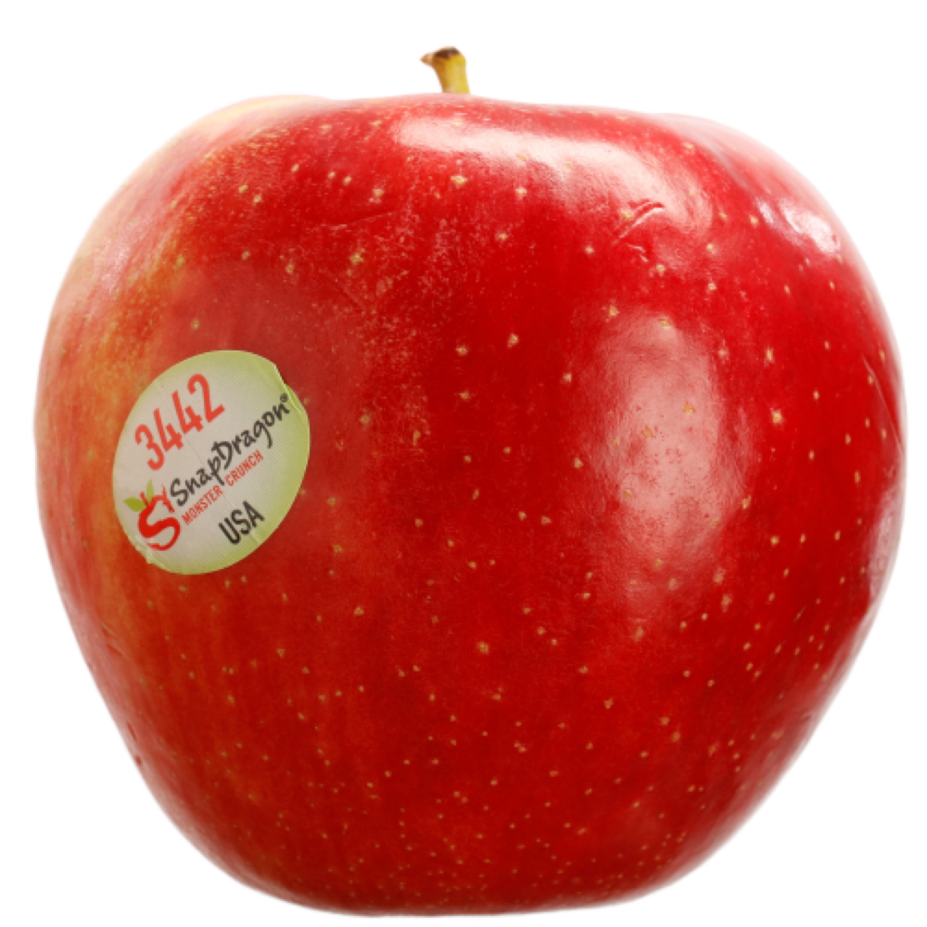 Snapdragon and Rubyfrost Apples X San Diego Zoo - 360 MAGAZINE | ART ...