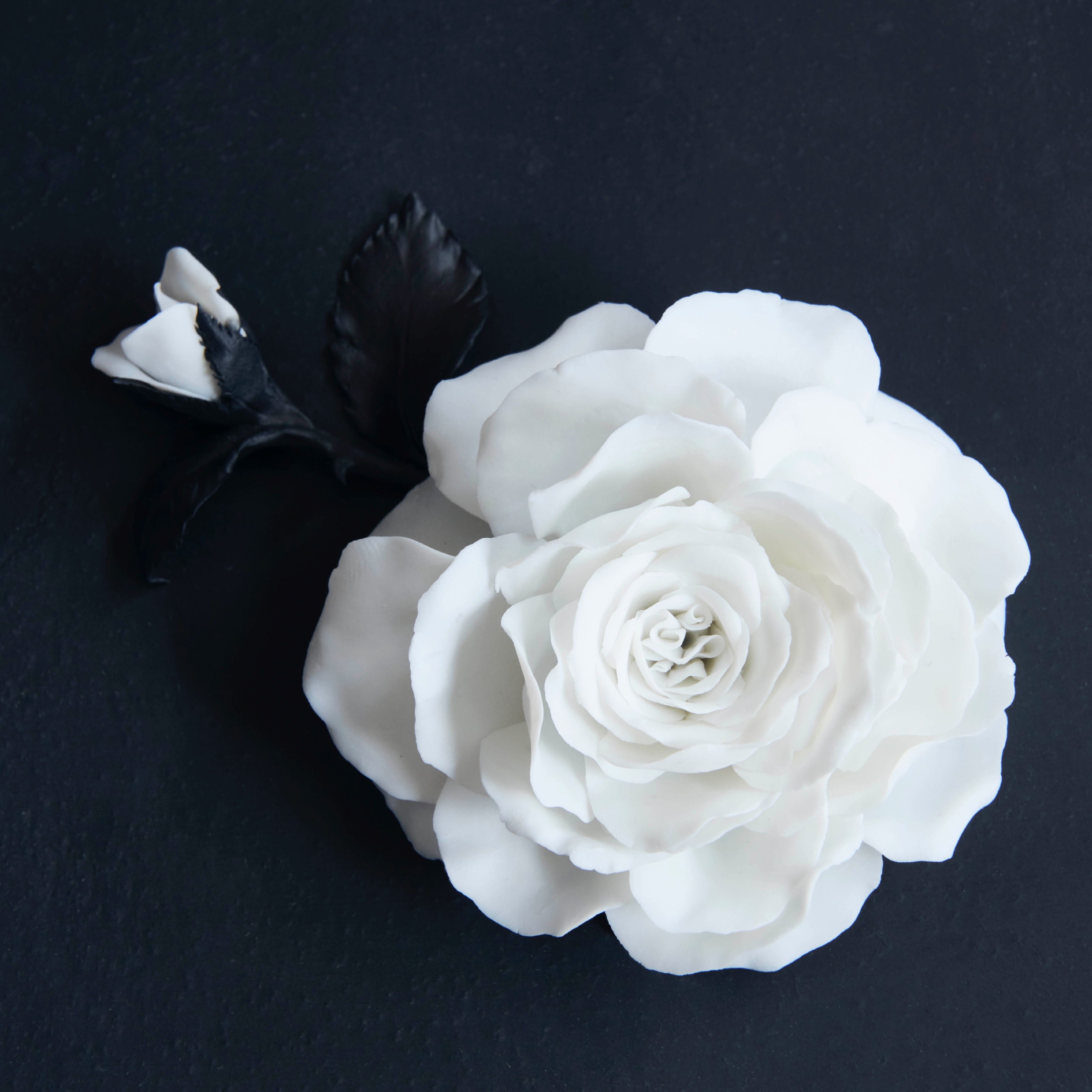 ROLLS-ROYCE EXPLORES A VERY UNIQUE MUSE: A ROLLS-ROYCE ROSE - 360 ...