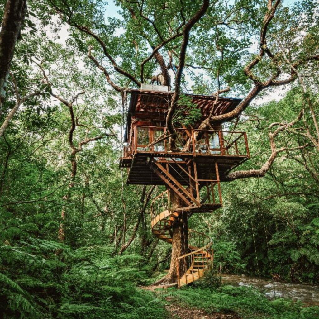 TREEHOUSES, SAMURAI HOMES & KIMONO RETREATS - 360 MAGAZINE - GREEN ...