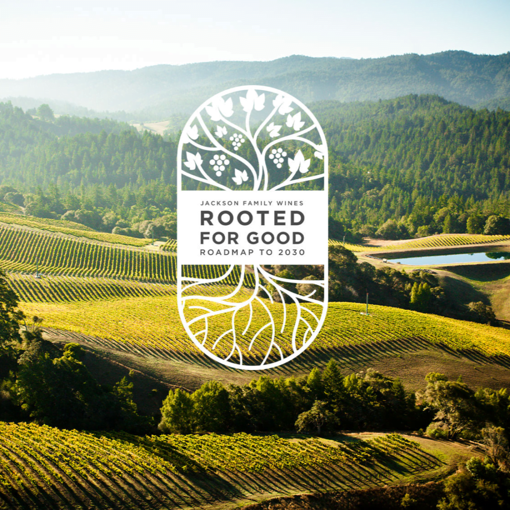 CGMSWLA Winners - 360 MAGAZINE - GREEN | DESIGN | POP | NEWS