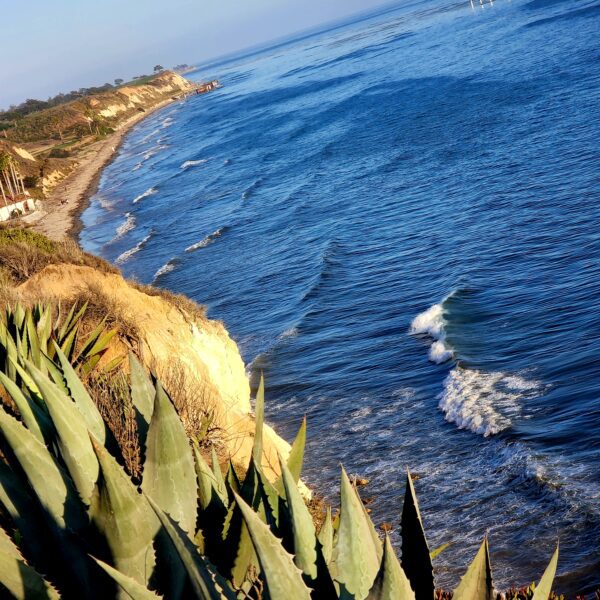 2023 LEXUS RX - 360 MAGAZINE - GREEN | DESIGN | POP | NEWS