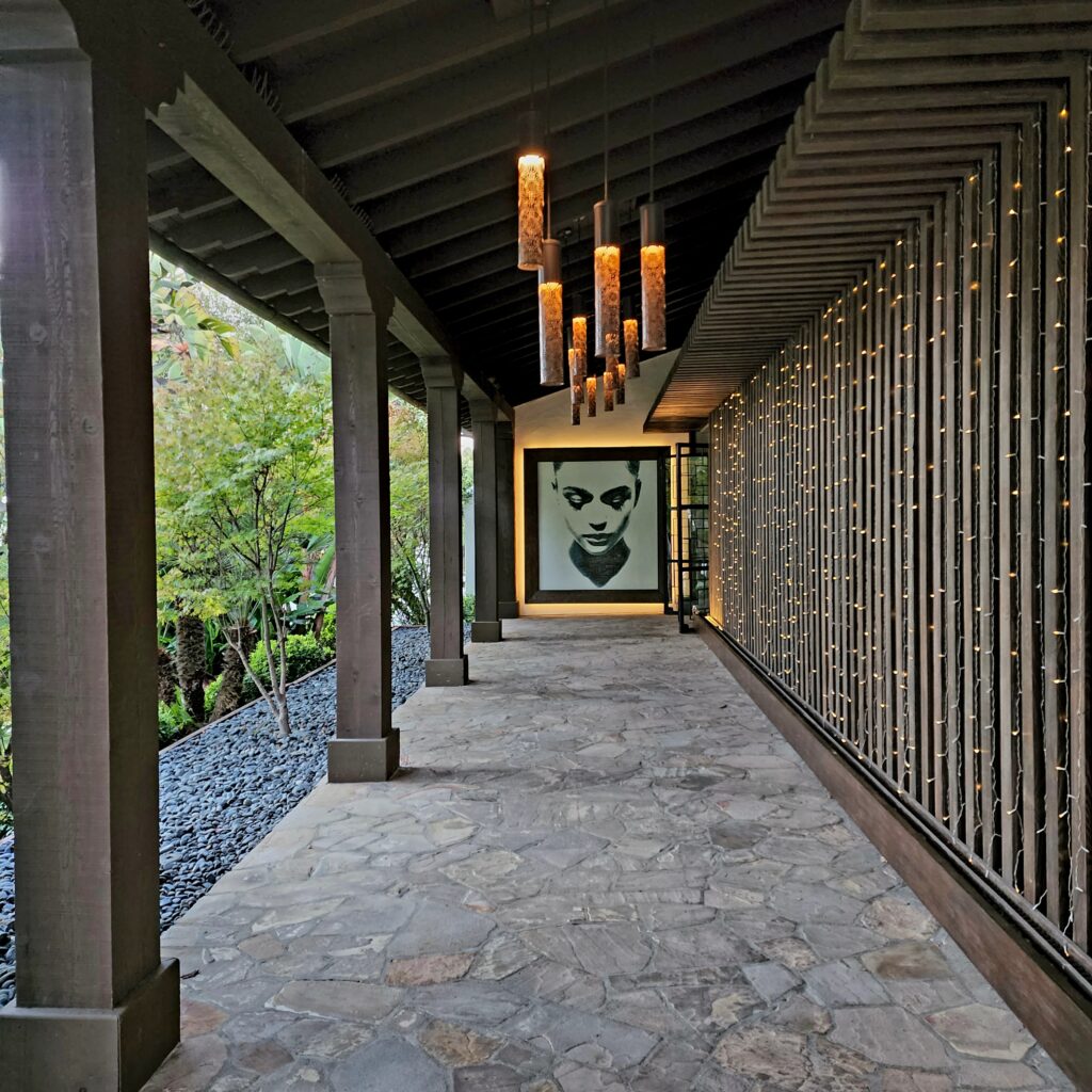 2023 LEXUS RX - 360 MAGAZINE - GREEN | DESIGN | POP | NEWS