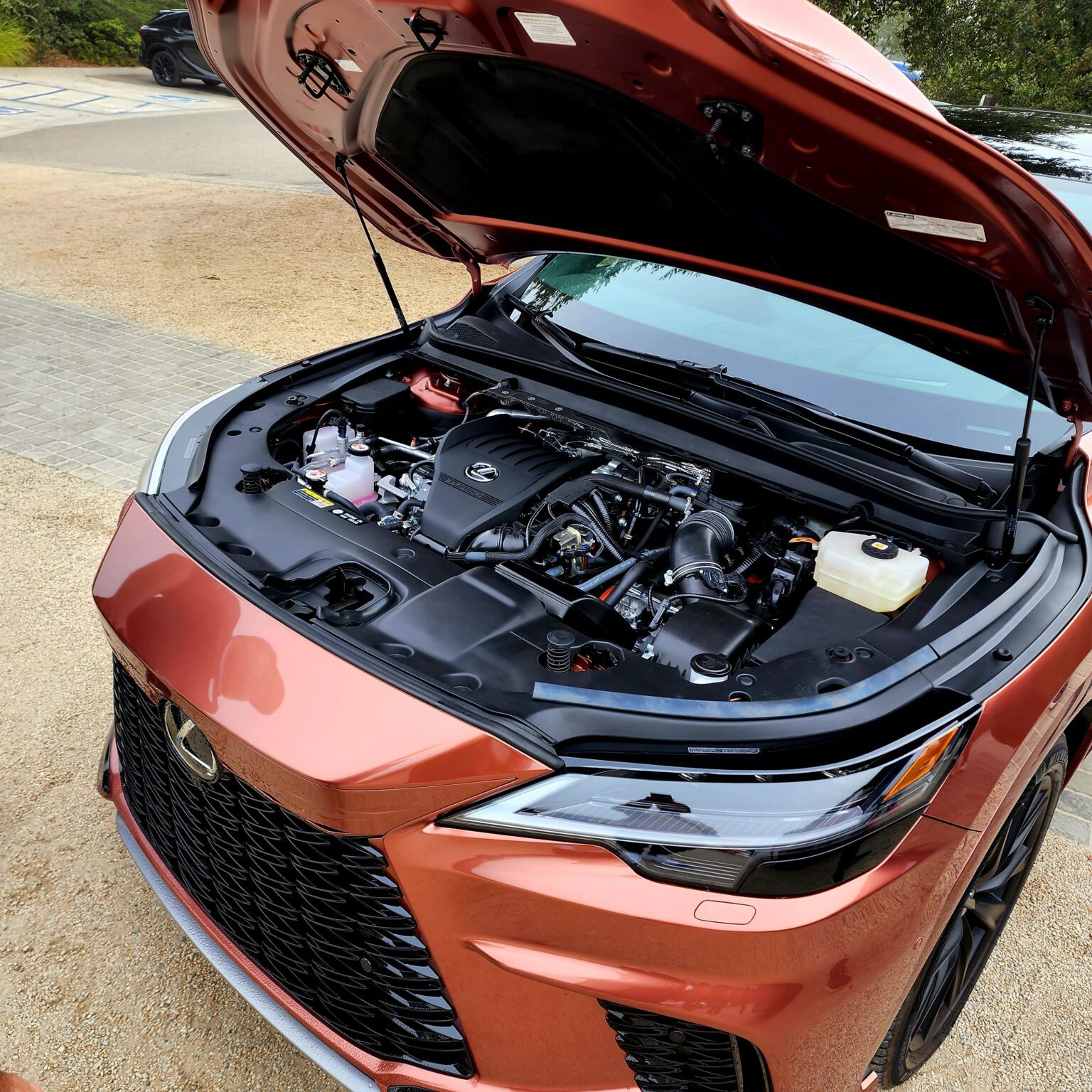 2023 LEXUS RX - 360 MAGAZINE - GREEN | DESIGN | POP | NEWS