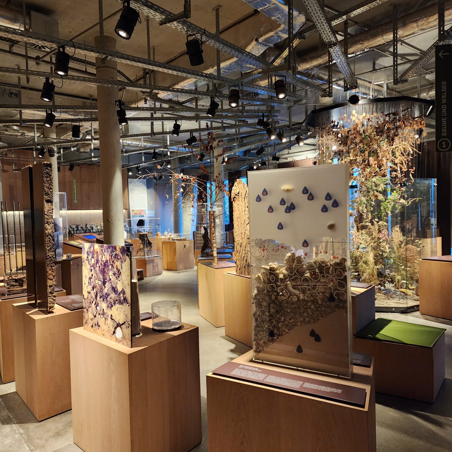 What Are Cymatics and How Are They Used in Popular Culture? - 360 ...