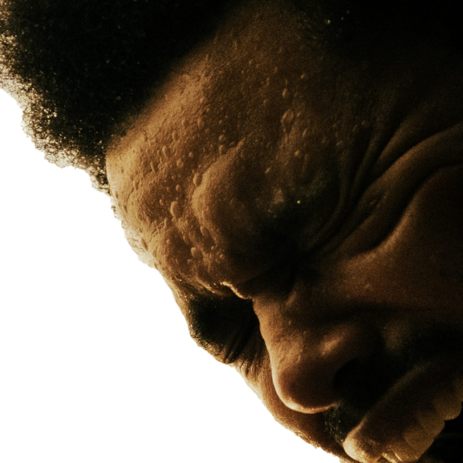 The Weeknd - Hurry Up Tomorrow via XO - 360 MAGAZINE - GREEN | DESIGN ...